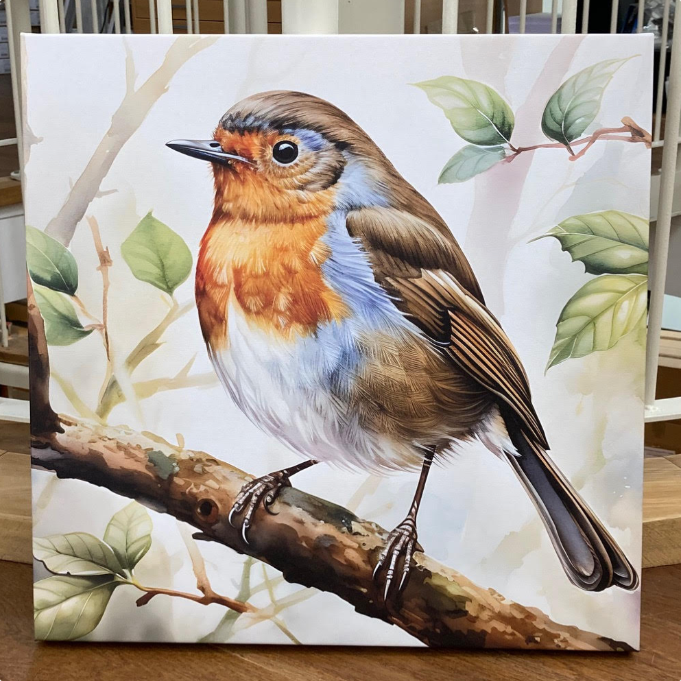 Large Robin Watercolour Canvas Print - 50cm – Nokular