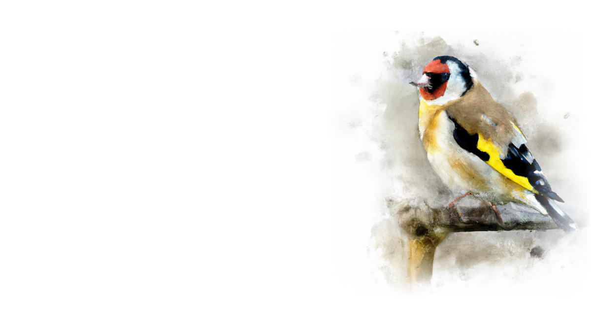 Personalised Watercolour Garden Bird Address Labels – Nokular