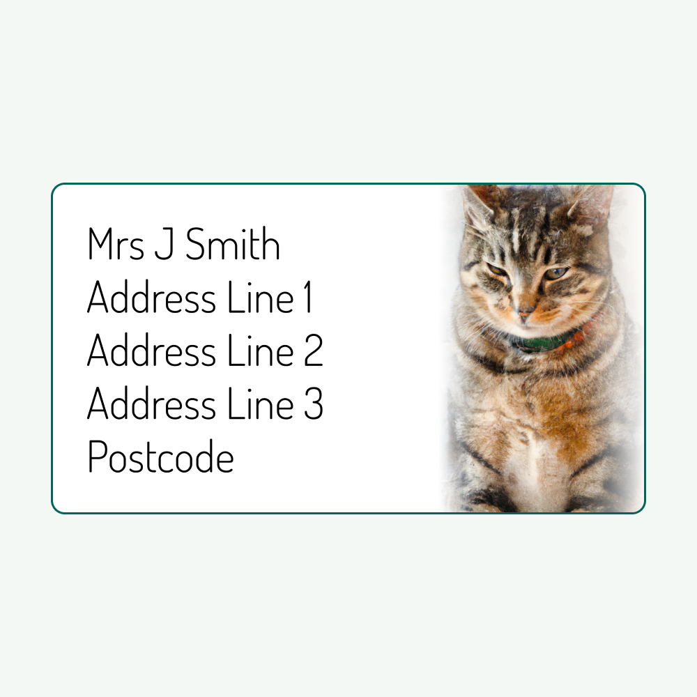 390 Personalised Cat Address Labels – Nokular